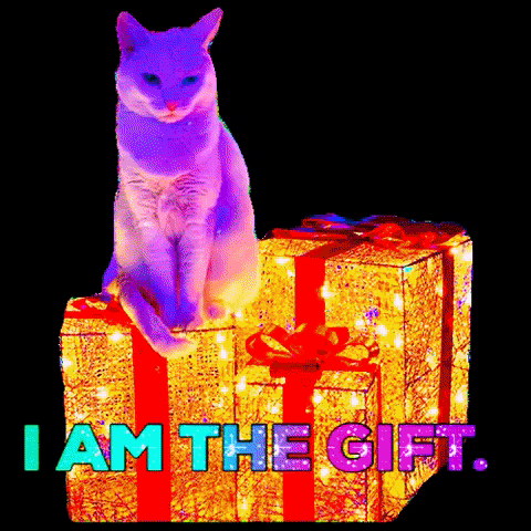 Cat Gift GIFs - Get the best GIF on GIPHY