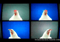 Pole Dancing Chicken Gif