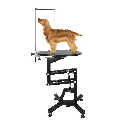 Nature's Protection GIFs - Find & Share on GIPHY