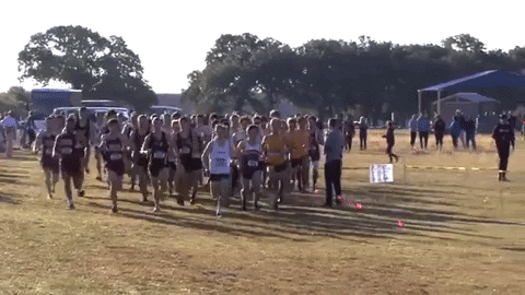 Trinity Cross Country GIFs - Get the best GIF on GIPHY