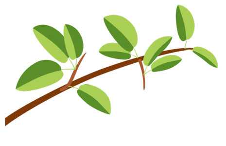 FruitMasters GIFs on GIPHY - Be Animated