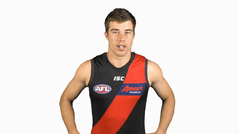Essendon FC GIF - Find & Share on GIPHY