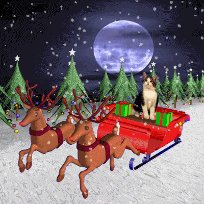 Christmas Sleigh GIFs - Find & Share on GIPHY
