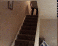 People Falling Down Gif
