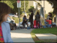 Suid GIFs - Get the best GIF on GIPHY