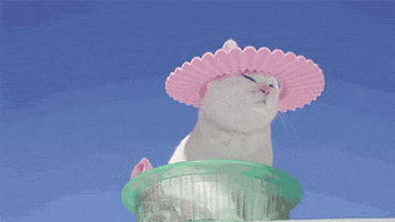 Here Are Great Hat GIFs for the Kentucky Derby by Entertainment GIFs ...