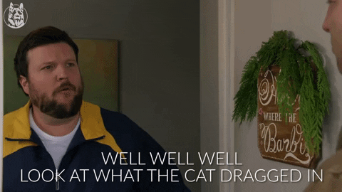 Cat-drag GIFs - Get the best GIF on GIPHY