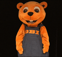 OBI bober GIFs on GIPHY - Be Animated