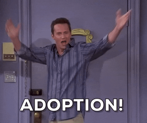 No-one-is-home GIFs - Get the best GIF on GIPHY