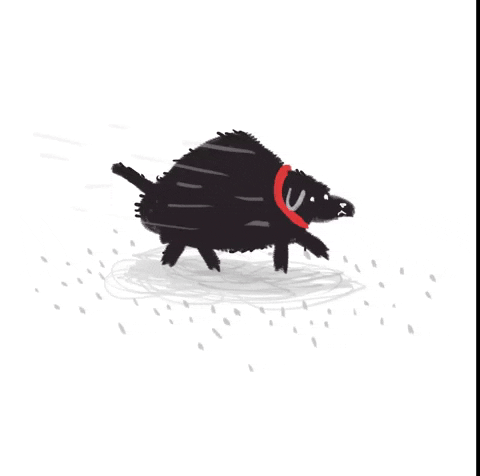 Runningdog GIFs - Get the best GIF on GIPHY