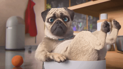 Sad Dog GIF by MightyMike - Find & Share on GIPHY