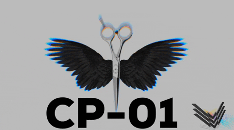 Dell'Aquila Scissors GIFs - Find & Share on GIPHY