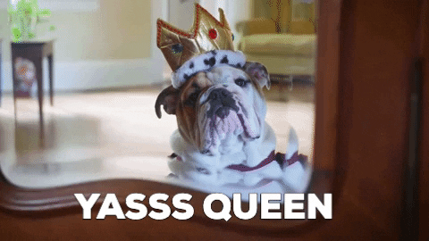 Bulldog Mascot GIFs - Get the best GIF on GIPHY