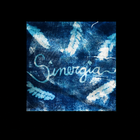 Sinergia Mastermind GIFs - Get the best GIF on GIPHY