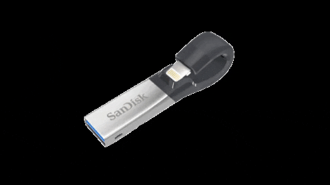 WD GIFs on GIPHY - Be Animated