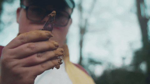 Torment-fragments GIFs - Get the best GIF on GIPHY