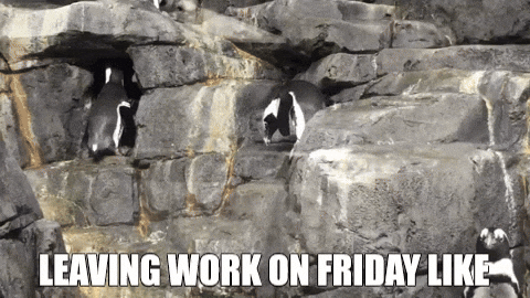 Friday Work Gif