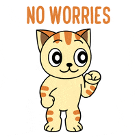 Worried Cat Gif
