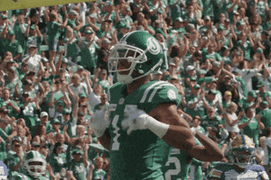 Saskatchewan Roughriders GIFs on GIPHY - Be Animated