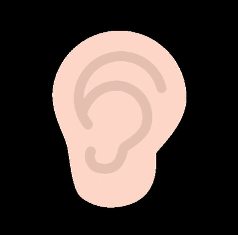 Blush Ears GIFs - Get the best GIF on GIPHY
