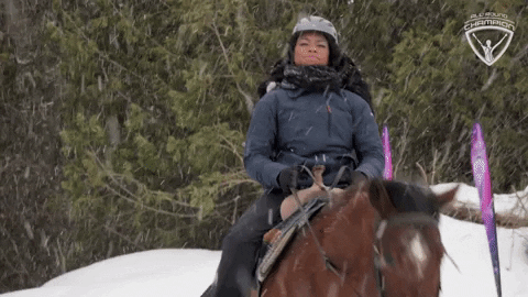 Winter Sports Snow GIF by All-Round Champion - Find & Share on GIPHY