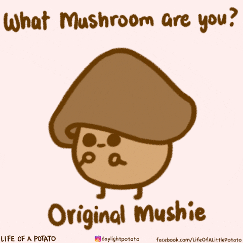 Original-mushroom GIFs - Get the best GIF on GIPHY