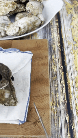 Oysters GIFs on GIPHY - Be Animated