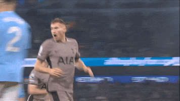 Tottenham Hotspur GIFs on GIPHY - Be Animated