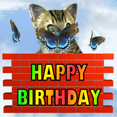 Happy Birthday Yo GIFs - Find & Share on GIPHY