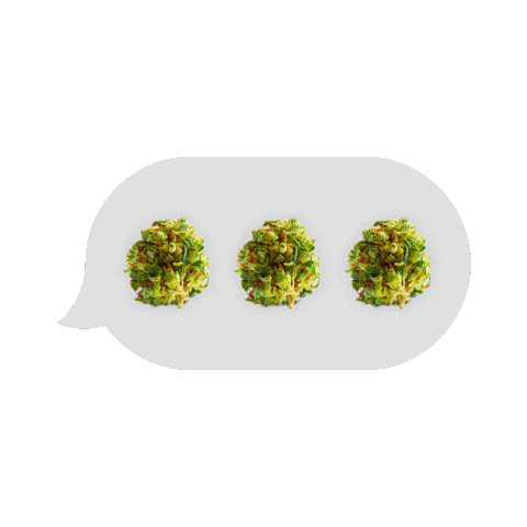 WeedFeed GIFs on GIPHY - Be Animated