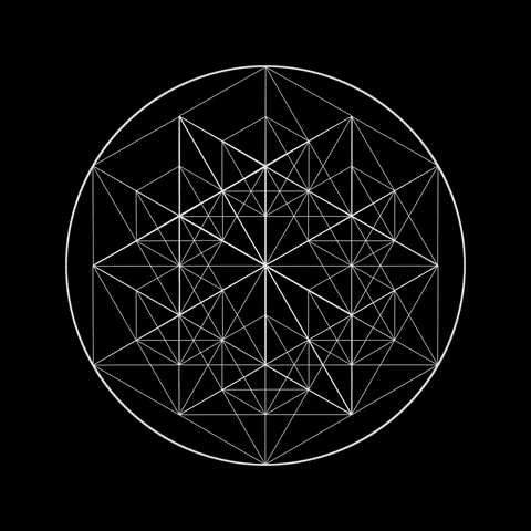 Geometry Monochrome GIF by xponentialdesign - Find & Share on GIPHY