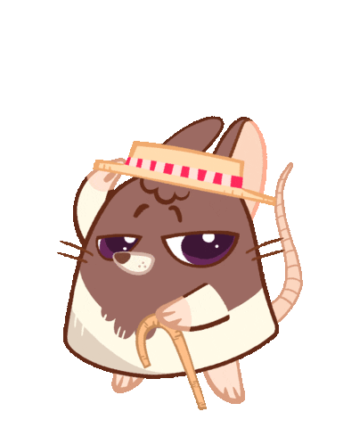 Bibi.Pet GIFs - Find & Share on GIPHY