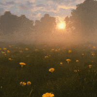 Pi-Slices GIFs on GIPHY - Be Animated