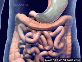 Stomach GIFs - Find & Share on GIPHY
