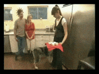 Dog Flashback Gif