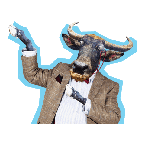 Carabao Energy Drink GIFs - Find & Share on GIPHY