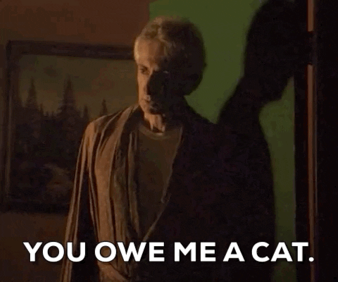 You Owe Me A Cat GIFs - Get the best GIF on GIPHY