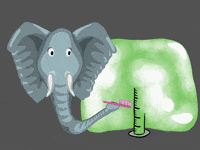 Elephant Toothpaste Gif