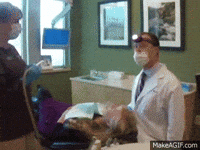 Steve Martin Dentist Gif