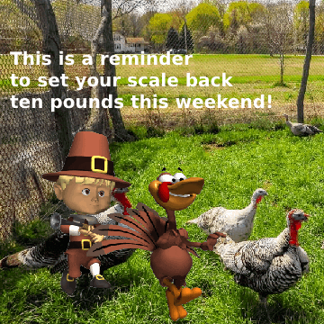 Scale-back GIFs - Get the best GIF on GIPHY