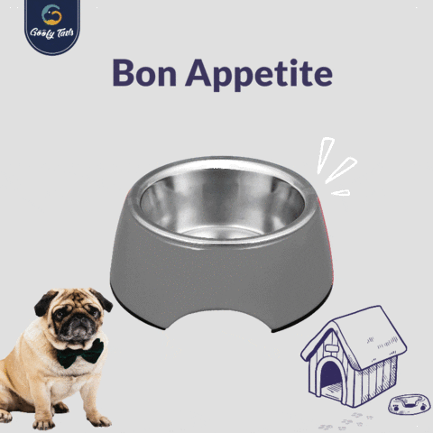 Pet Products GIFs - Get the best GIF on GIPHY