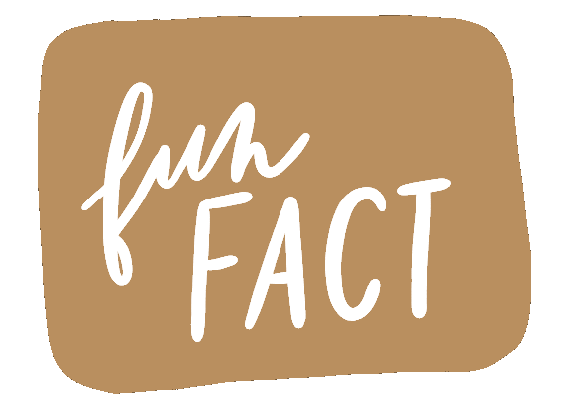 Fun Fact Sticker for iOS & Android | GIPHY