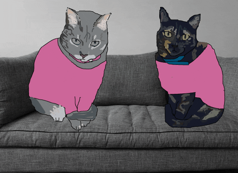 Gato-rosa GIFs - Get the best GIF on GIPHY