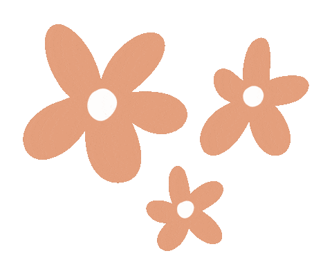 This rare rainforest tree is mass flowering in outback Queensland - ABC ...