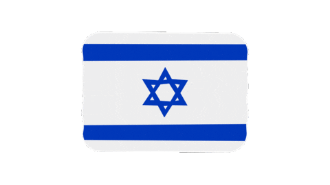 Flag Israel Sticker by EmojiVid for iOS & Android | GIPHY