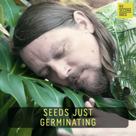 Seed Growing Gif