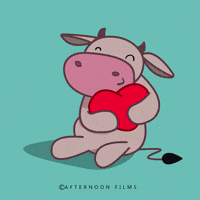 Cow Gif