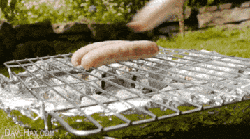 Bbq GIFs - Find & Share on GIPHY