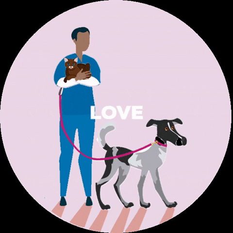 Pet Love GIFs - Get the best GIF on GIPHY