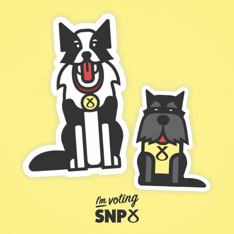 Dogs At Polling Stations GIFs - Get the best GIF on GIPHY